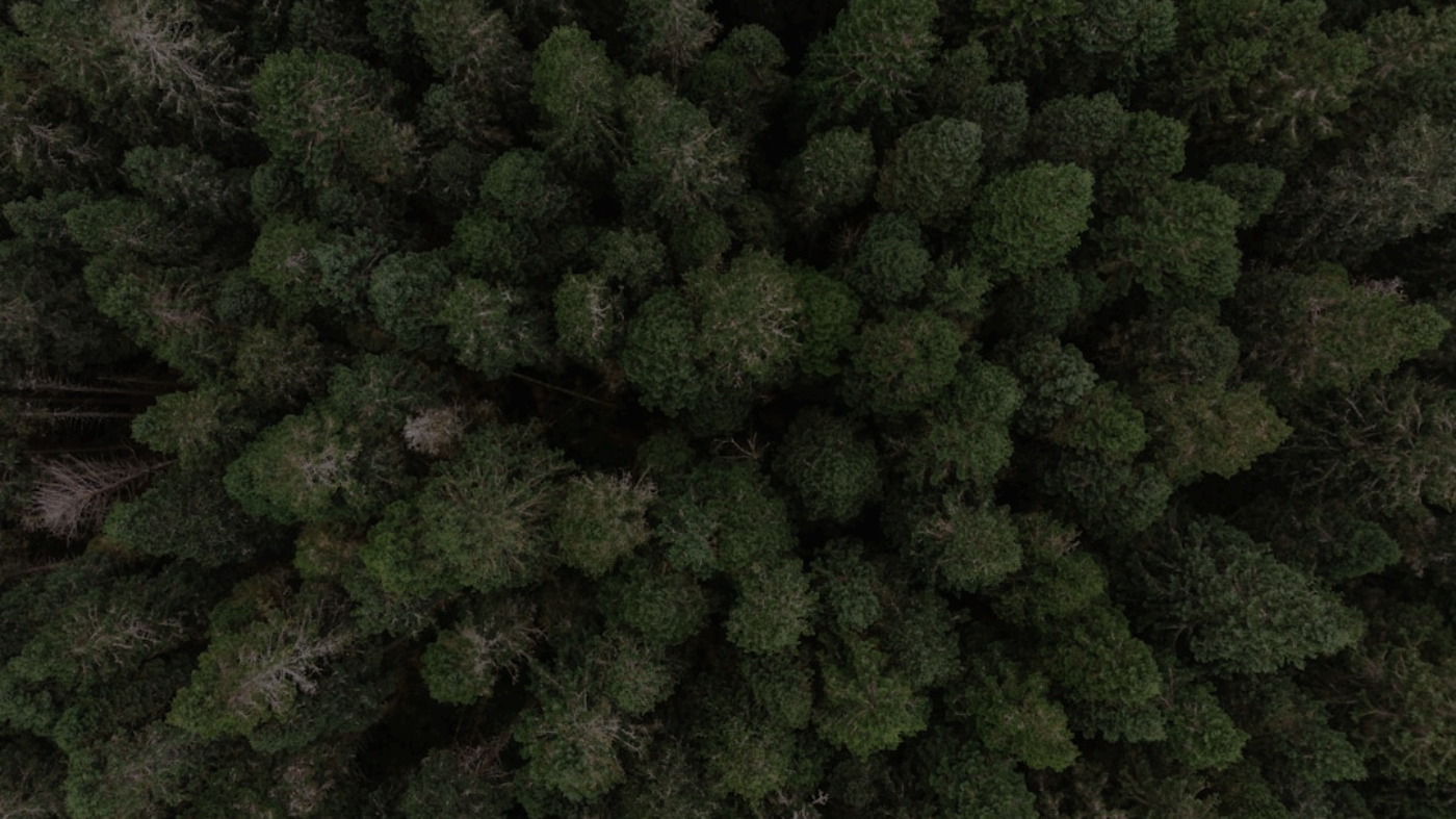 Turning Mini Sudoku into Family Game Night | MiniSudoku – Play Free 4x4 ...